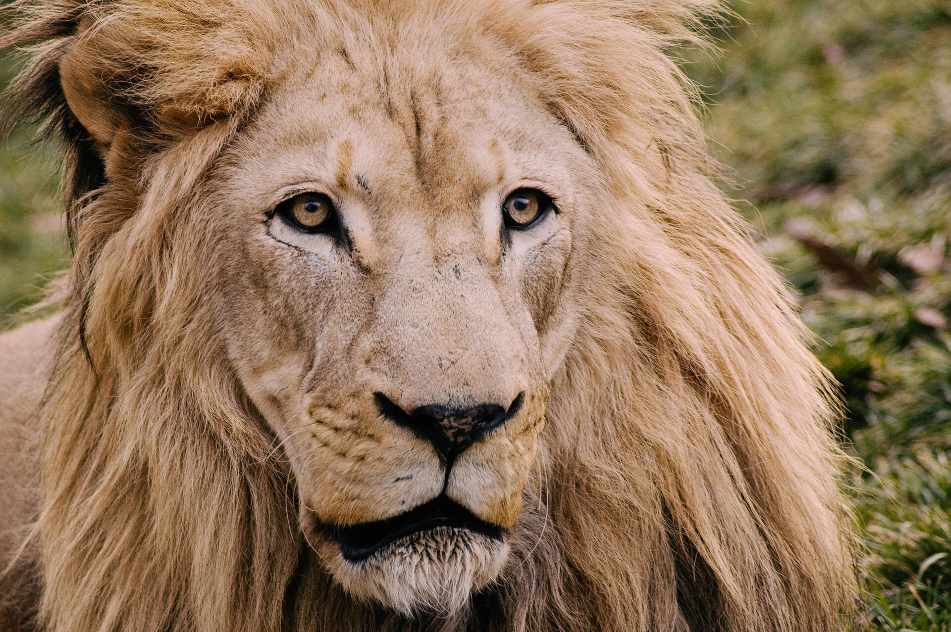 Philadelphia Zoo Guide | Go City®